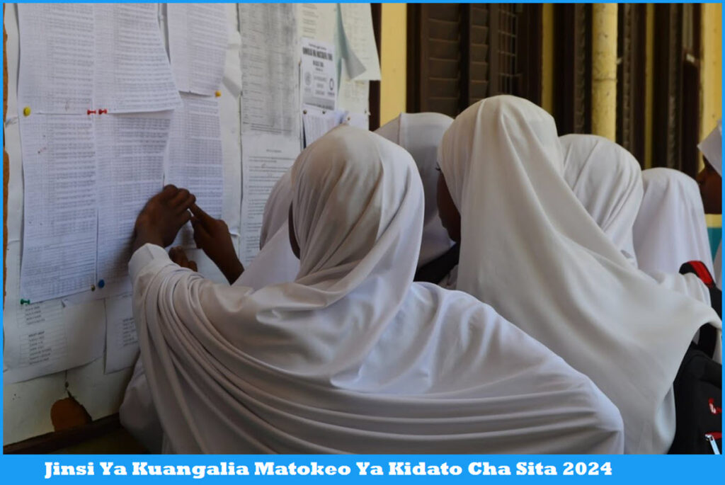 Matokeo ya Kidato cha Sita 2024 (NECTA Form Six Results 2024) - HABARI FORUM
