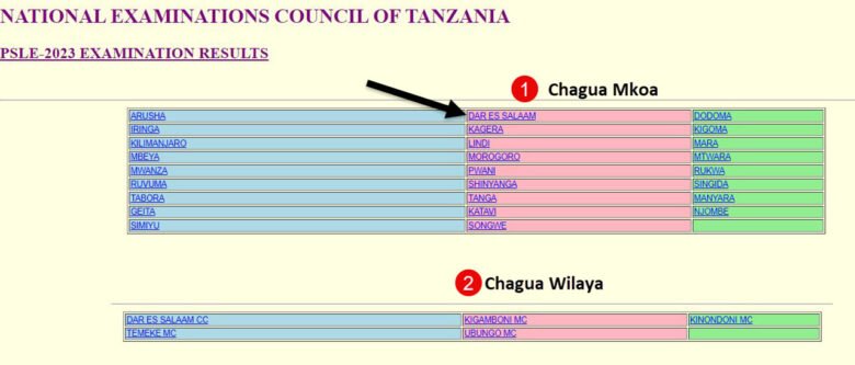 Jinsi ya Kuangalia Matokeo ya mtihani wa Darasa La Saba - HABARI FORUM