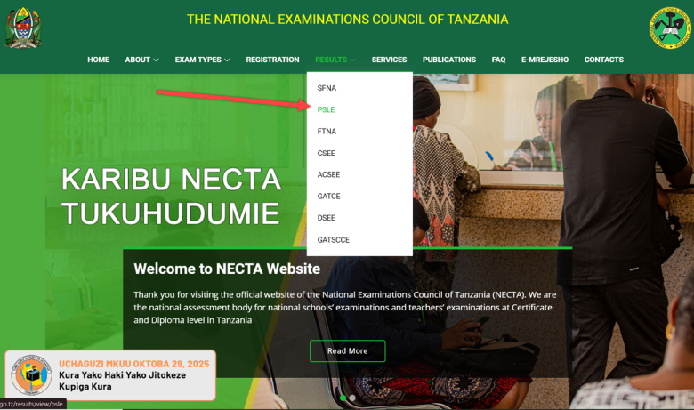 NECTA Standard Seven Results 2025 Released: 81.8% of Candidates Pass ...